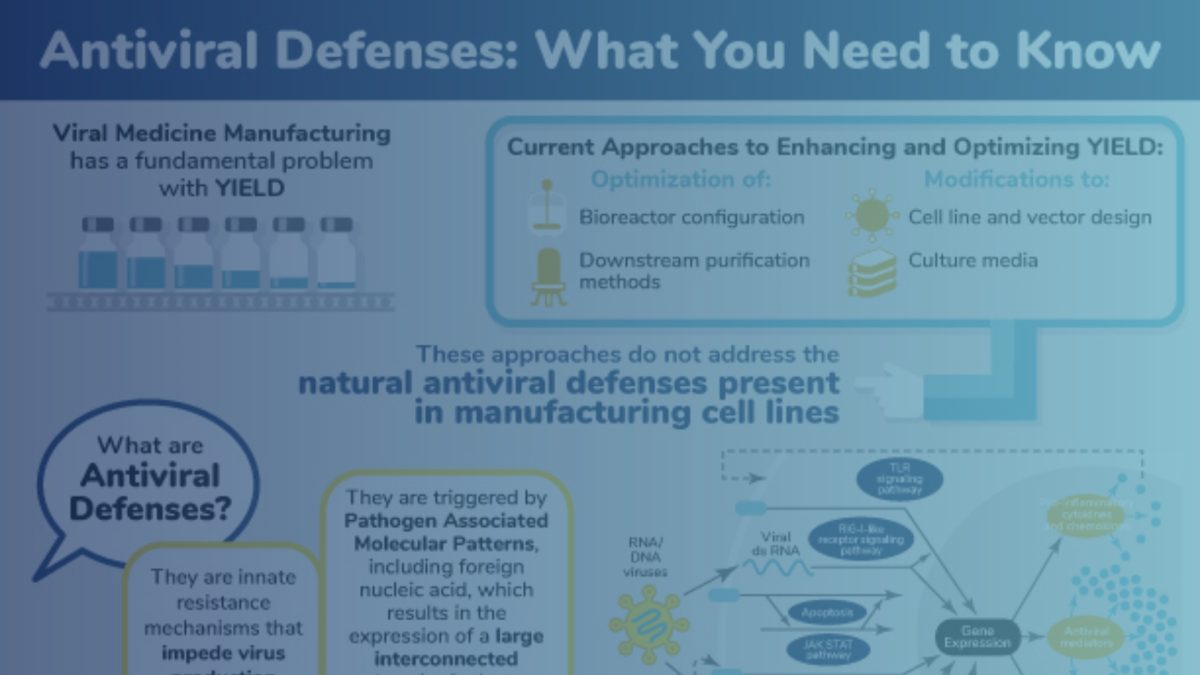 Antiviral Defenses – What You need to Know – Virica Biotech