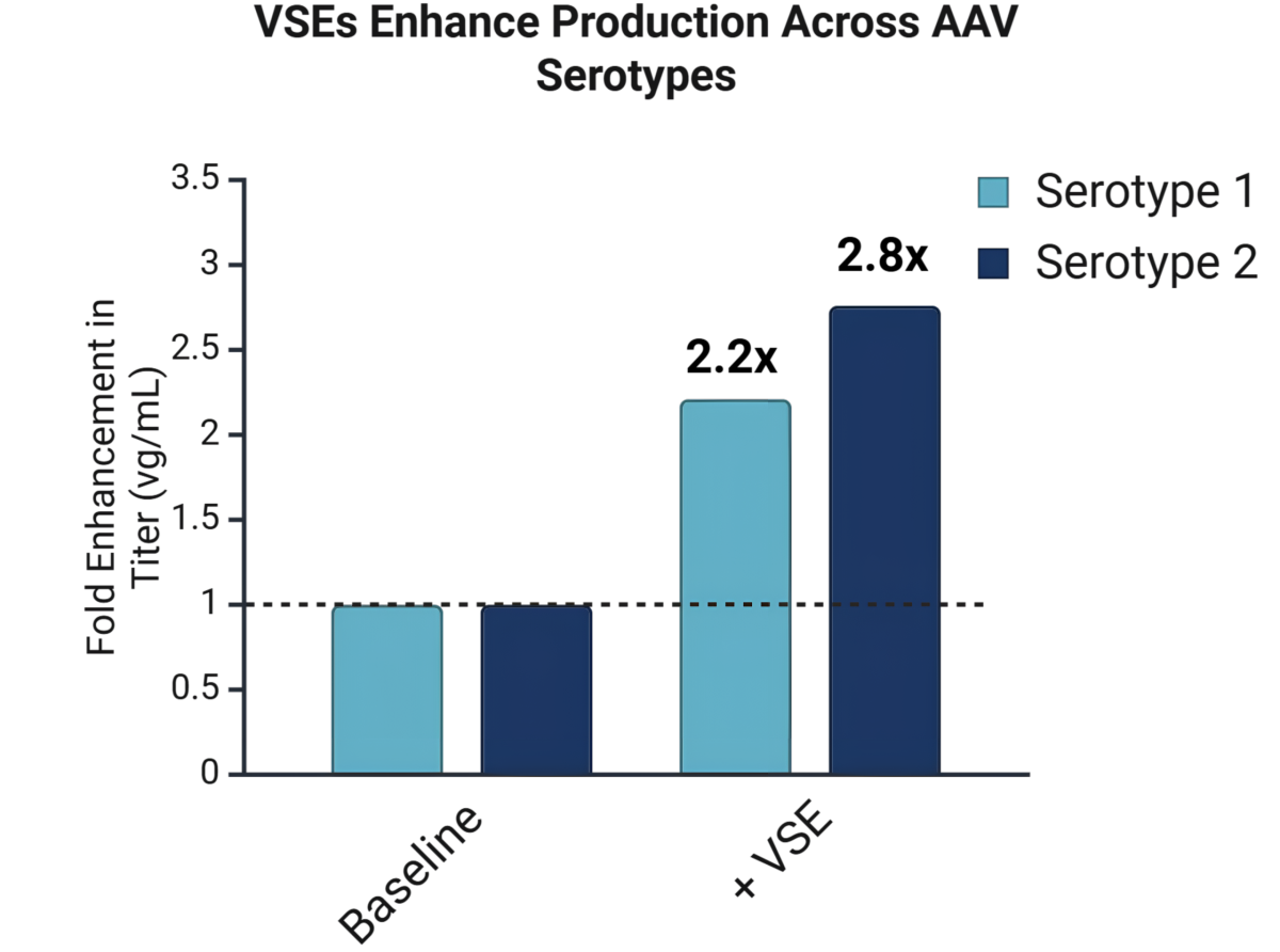 Maximize AAV Yield | AAV Manufacturing with VSEs
